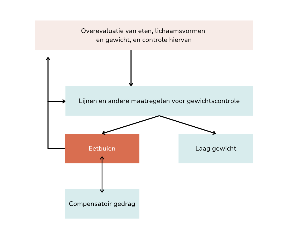 Stappenplan eetstoornissen – Gespecialiseerde psycholoog - Kenniskaders ...